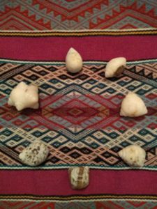 Unlocking the Wisdom of the Chumpi: Module 1